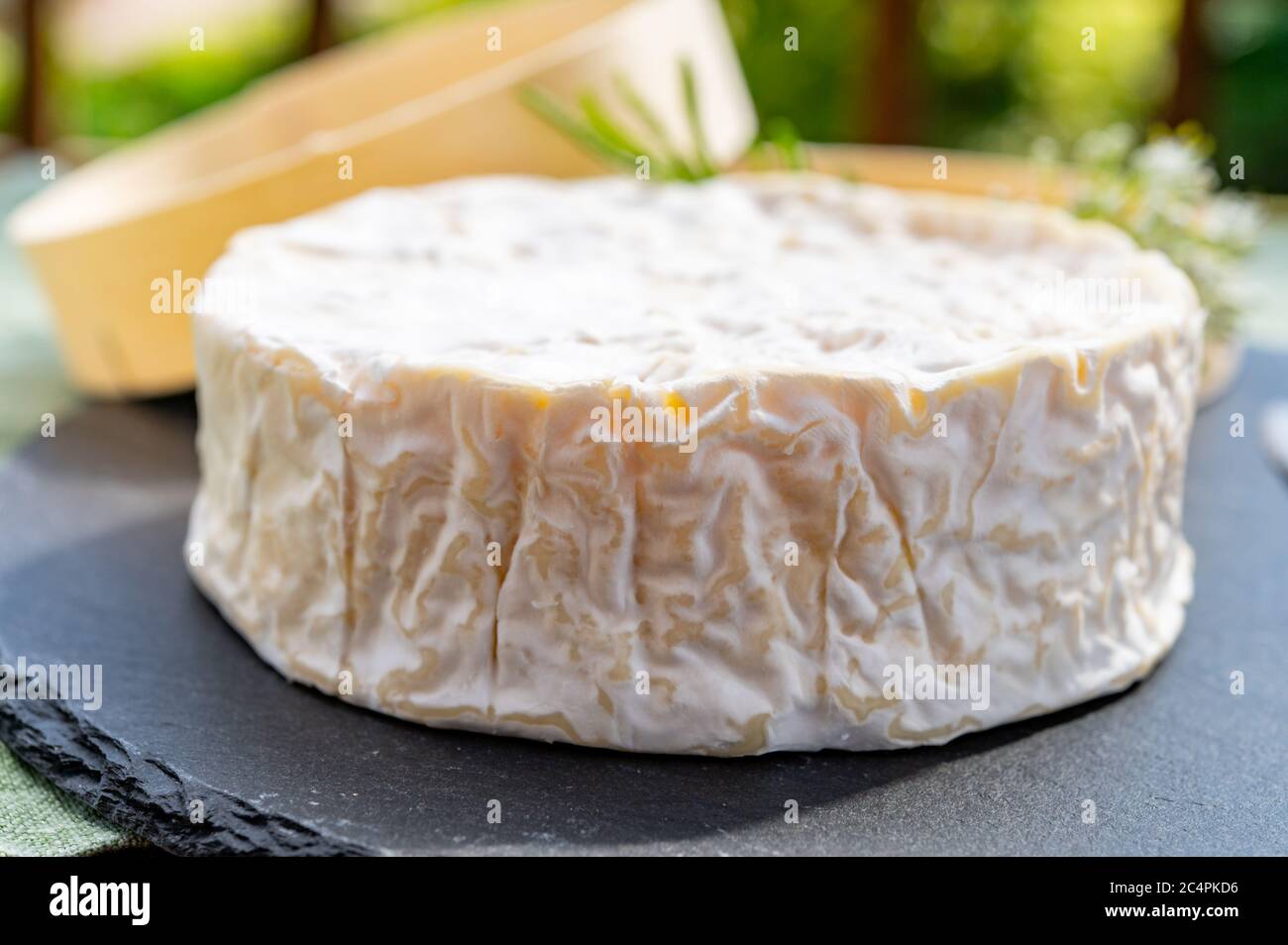 French cheeses collection, piece of matured camembert cow milk cheese ...
