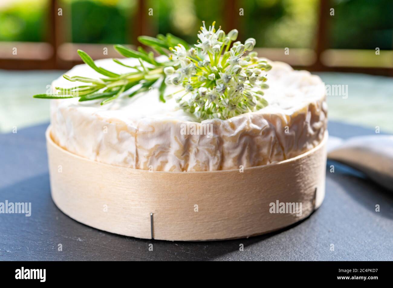 French cheeses collection, piece of matured camembert cow milk cheese ...