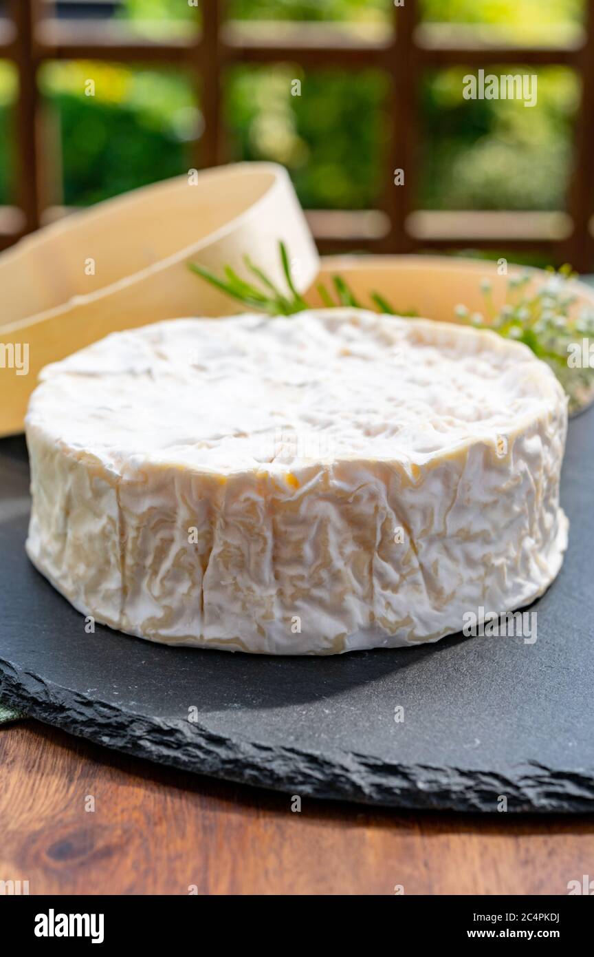 French cheeses collection, piece of matured camembert cow milk cheese ...