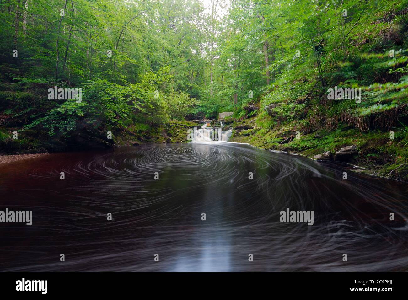 The Hoëgne river in the Belgium Ardennes is a small river full of ...