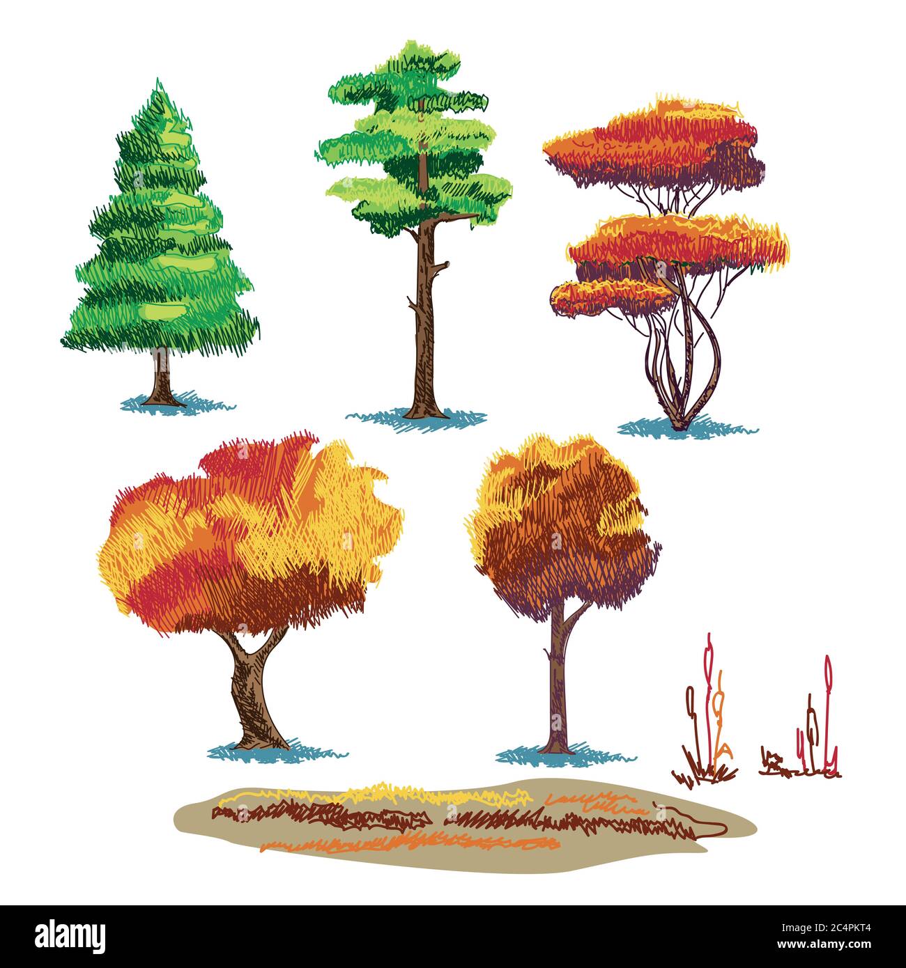 Plants in garden autumn Stock Vector Images - Alamy