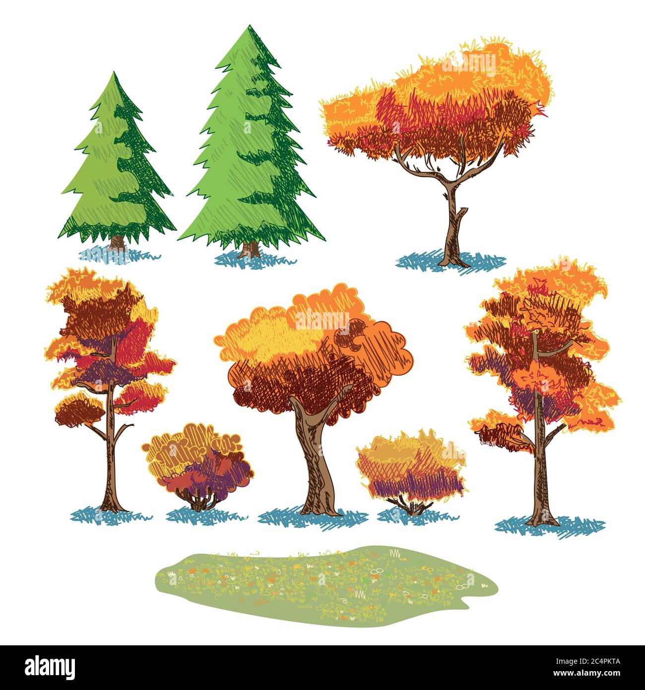 Fall Colors In The Bush Stock Vector Images Alamy