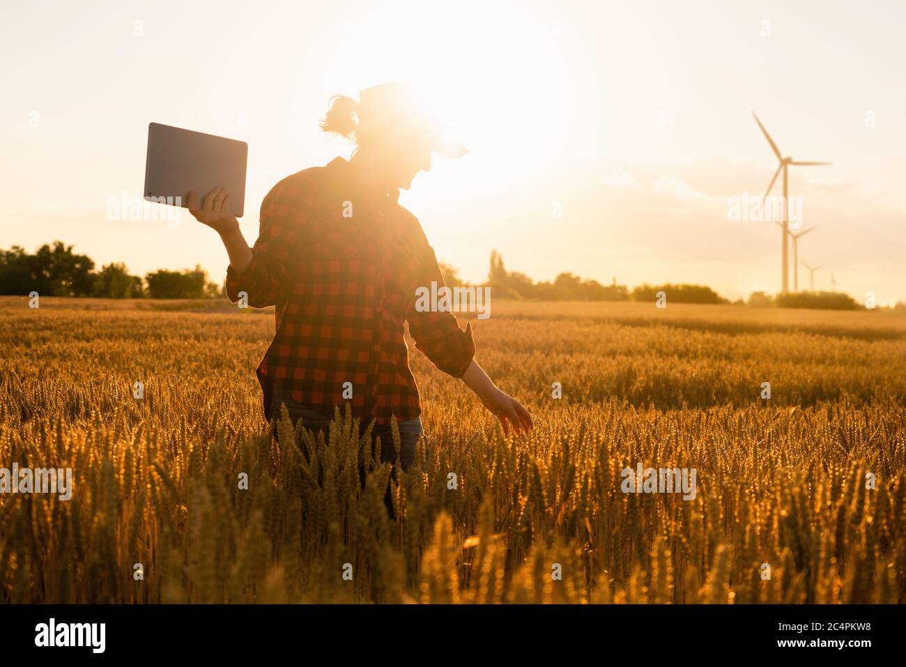 Smart works hi-res stock photography and images - Alamy