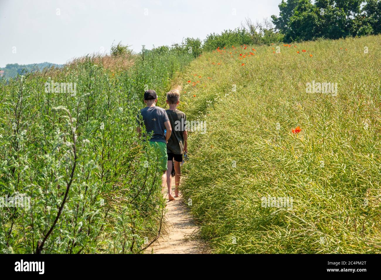 two boys walk along a narrow path with a small dog Stock Photo - Alamy