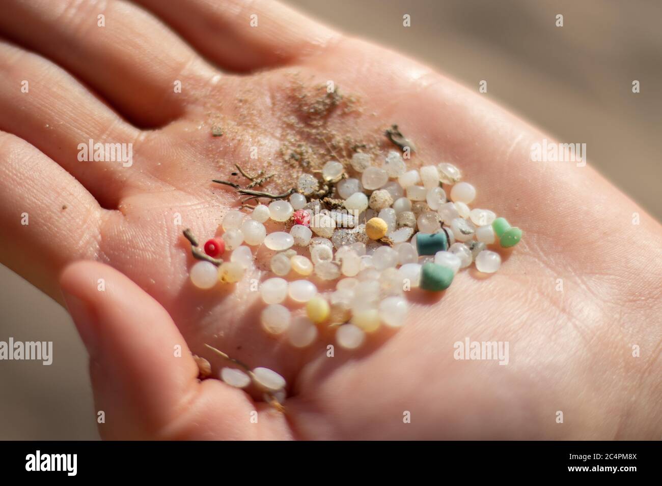 Little mermaid tears collected at a beach cleaning Stock Photo - Alamy