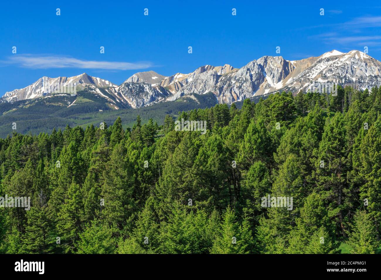 Wilsall hi-res stock photography and images - Alamy