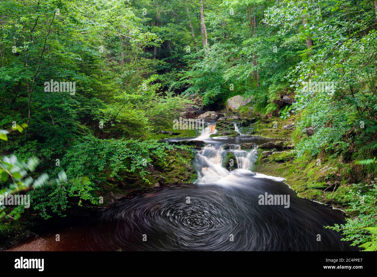 The Hoëgne river in the Belgium Ardennes is a small river full of ...