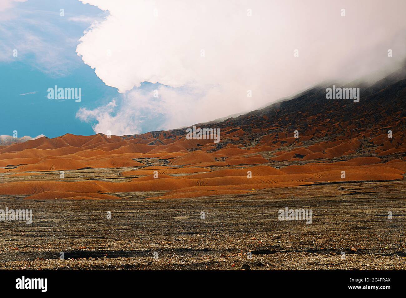 landscape of the volcano marum in vanuatu Stock Photo - Alamy
