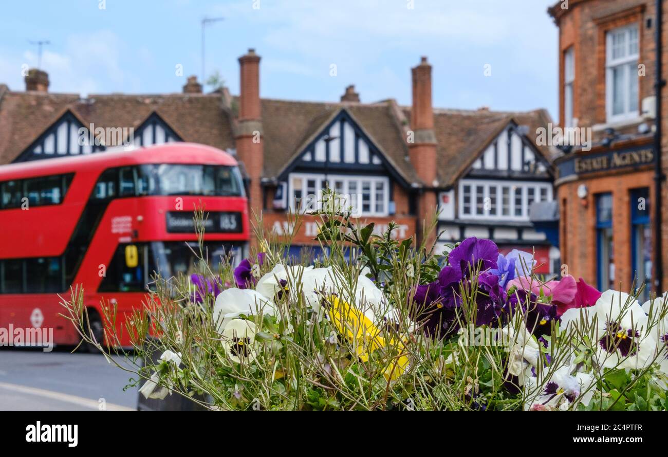 Close-up of flower box and Tudor Style half timbered buildings, with ...