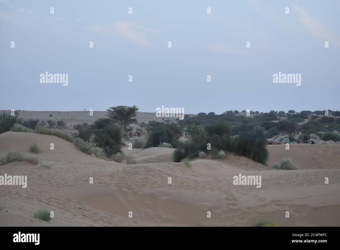 desert safari at jaisalmer sam dunes in a sunset time Stock Photo - Alamy