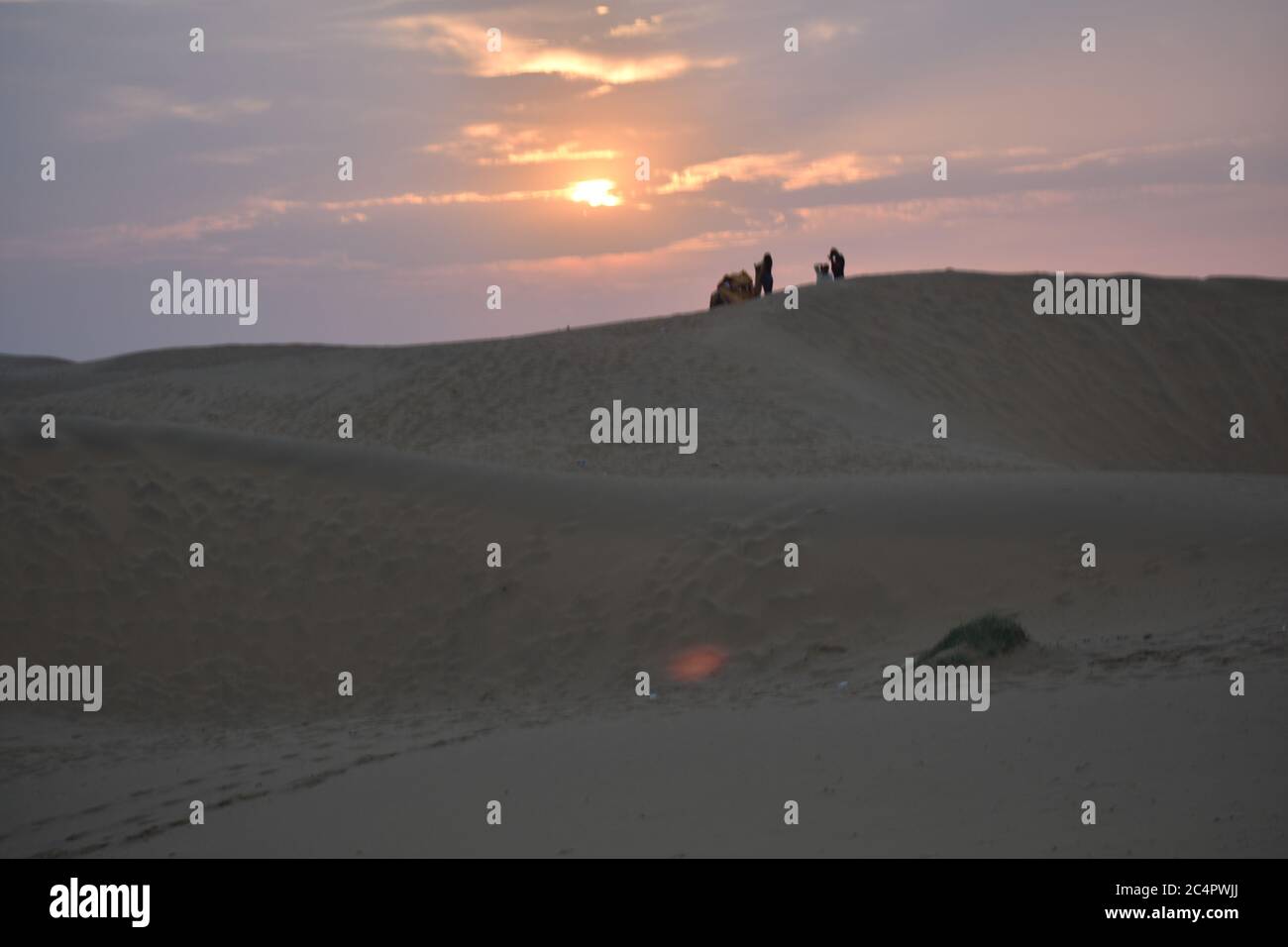 desert safari at jaisalmer sam dunes in a sunset time Stock Photo - Alamy
