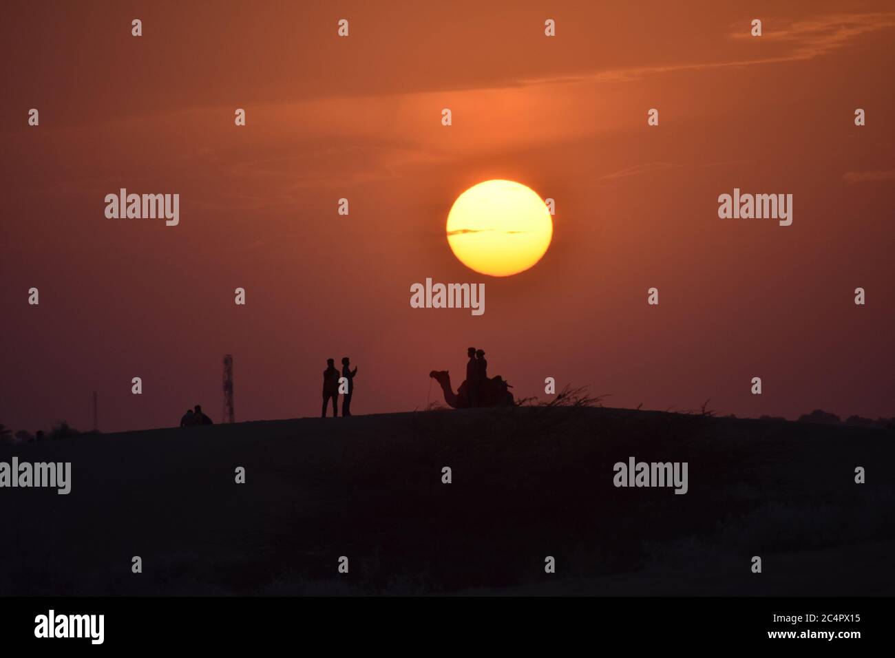 desert safari at jaisalmer sam dunes in a sunset time Stock Photo - Alamy