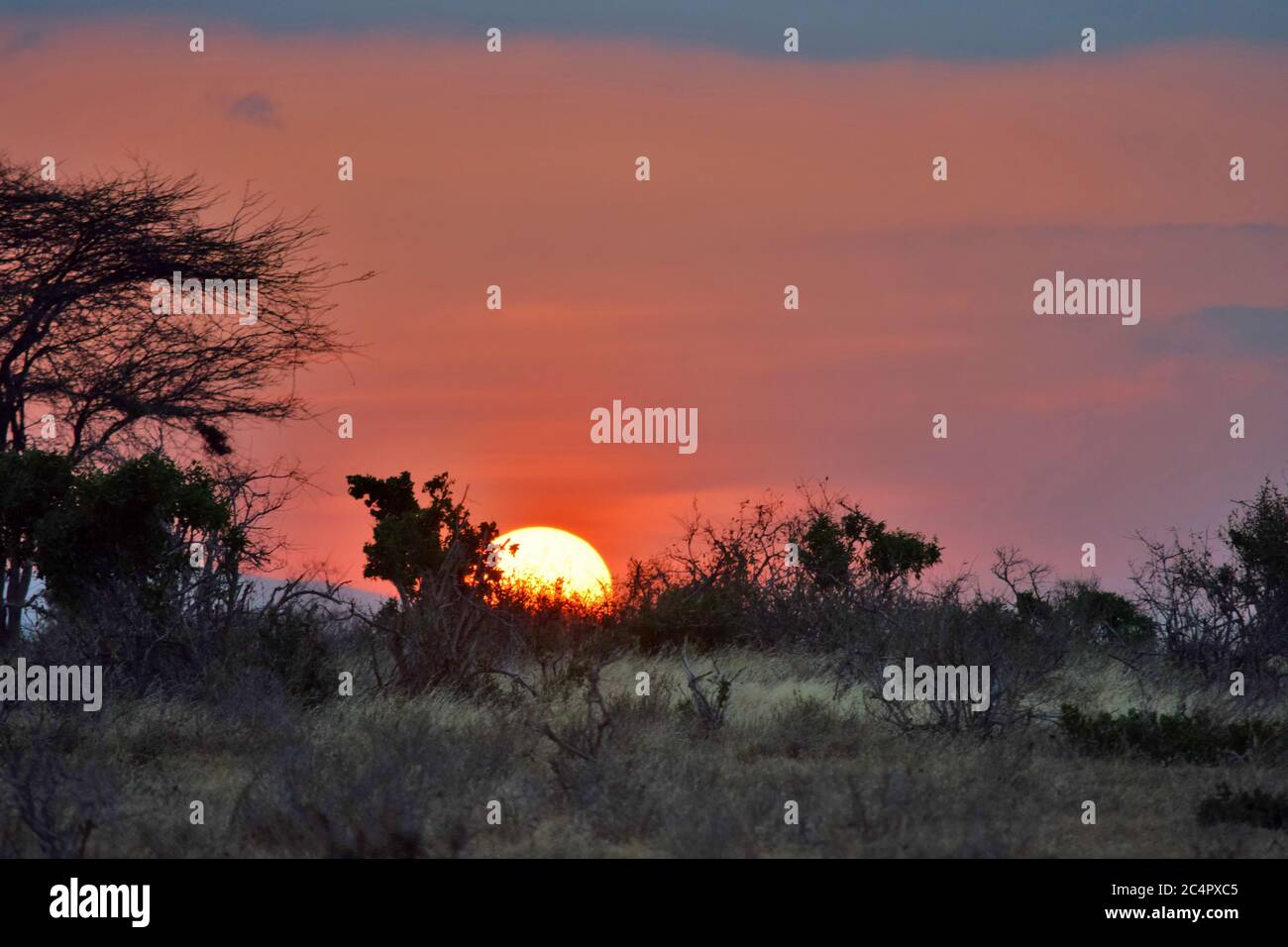 Sun hiding in a sunset in Masai Mara, Kenya Stock Photo - Alamy