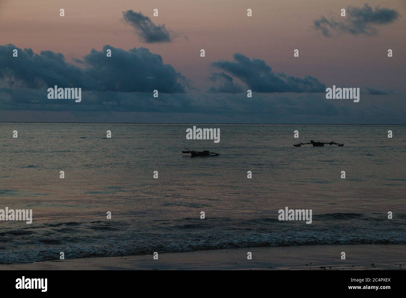 Two ravens flying over the Indian Ocean during sunset in Zanzibar ...