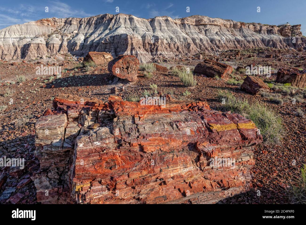 Petrified forest national park hi-res stock photography and images - Alamy