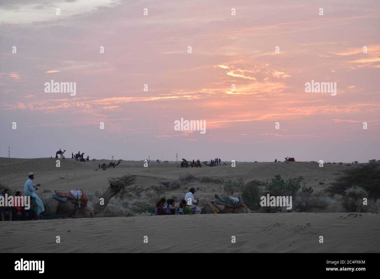 desert safari at jaisalmer sam dunes in a sunset time Stock Photo - Alamy