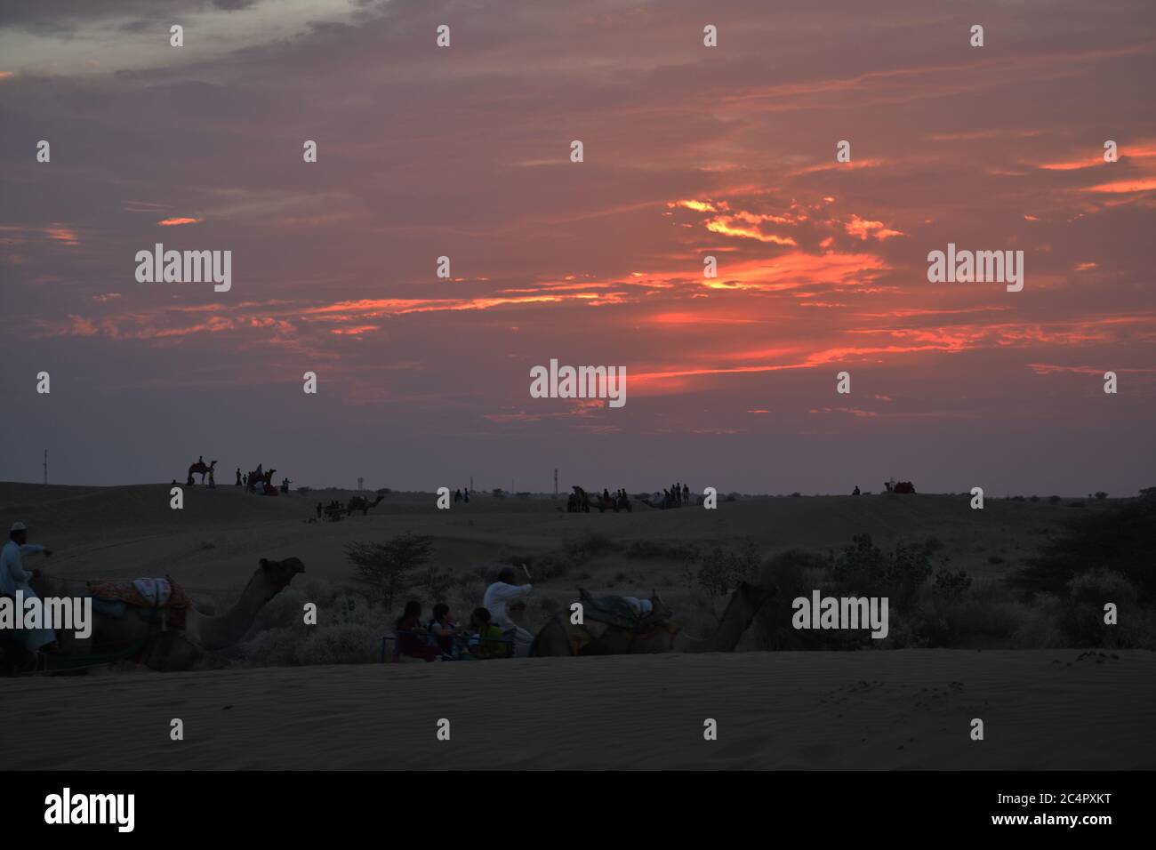 desert safari at jaisalmer sam dunes in a sunset time Stock Photo - Alamy