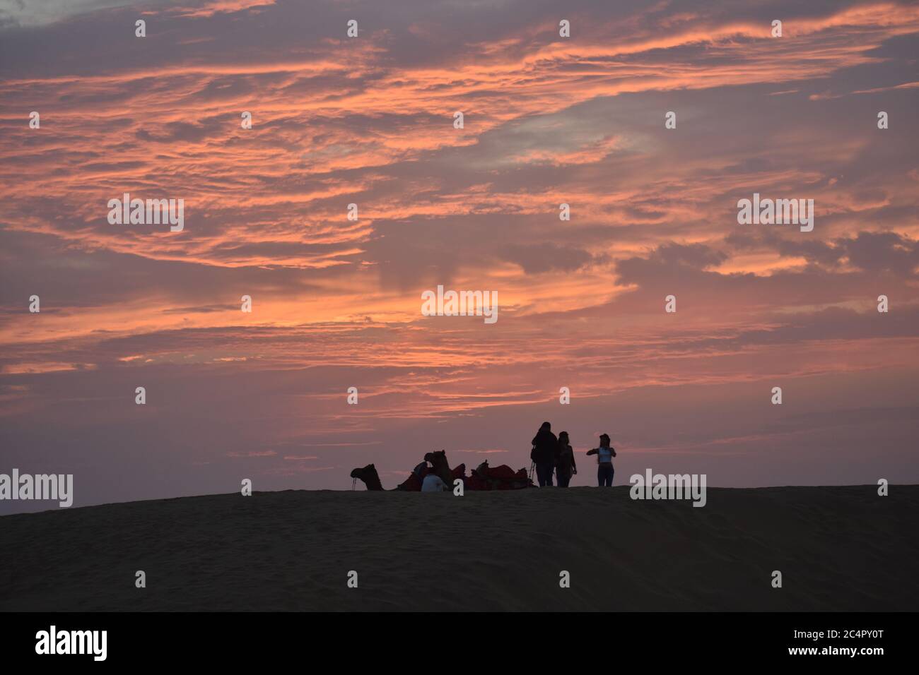 desert safari at jaisalmer sam dunes in a sunset time Stock Photo - Alamy