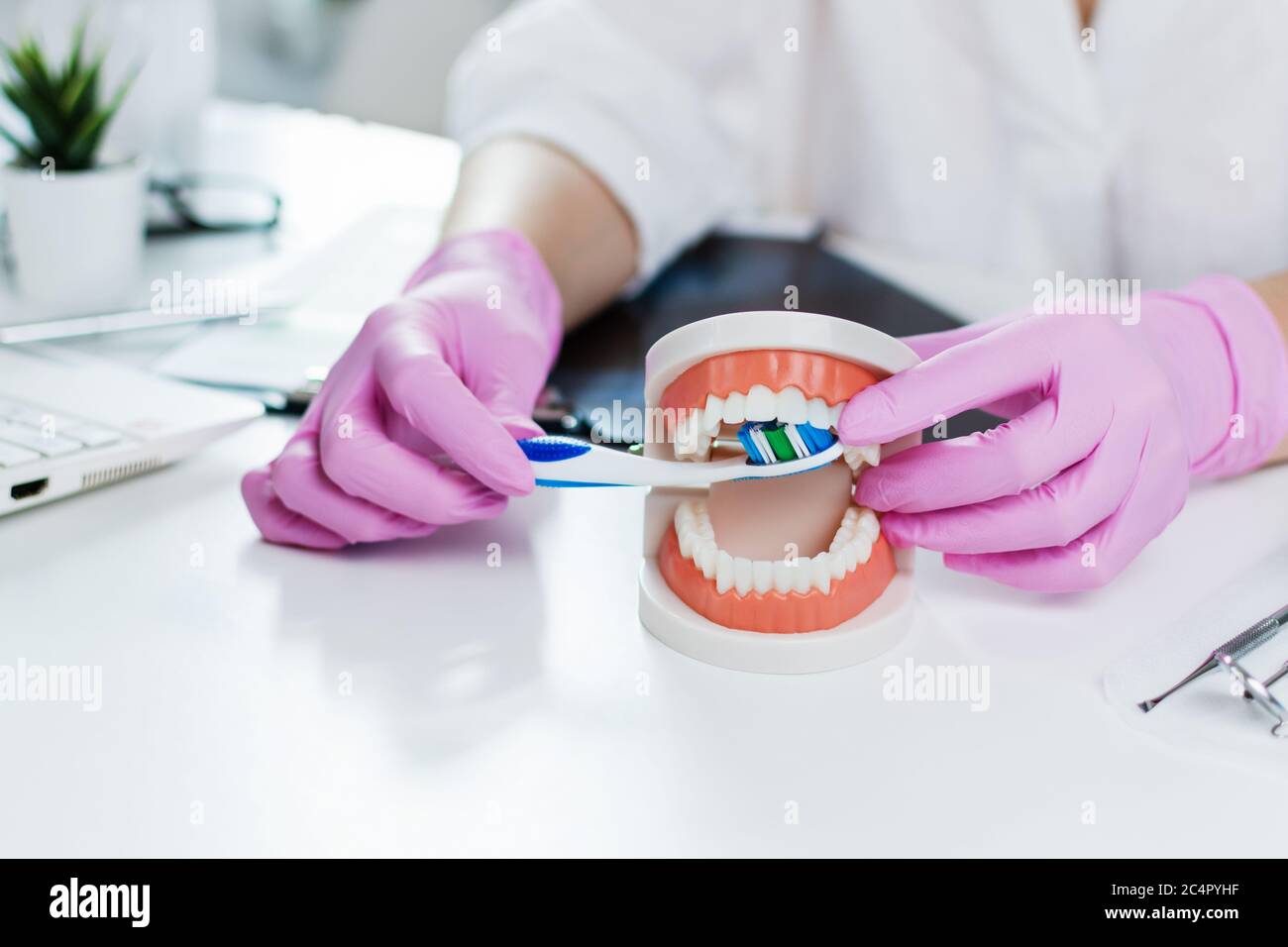 Dentist showing on jaw model how to clean the teeth correctly with ...