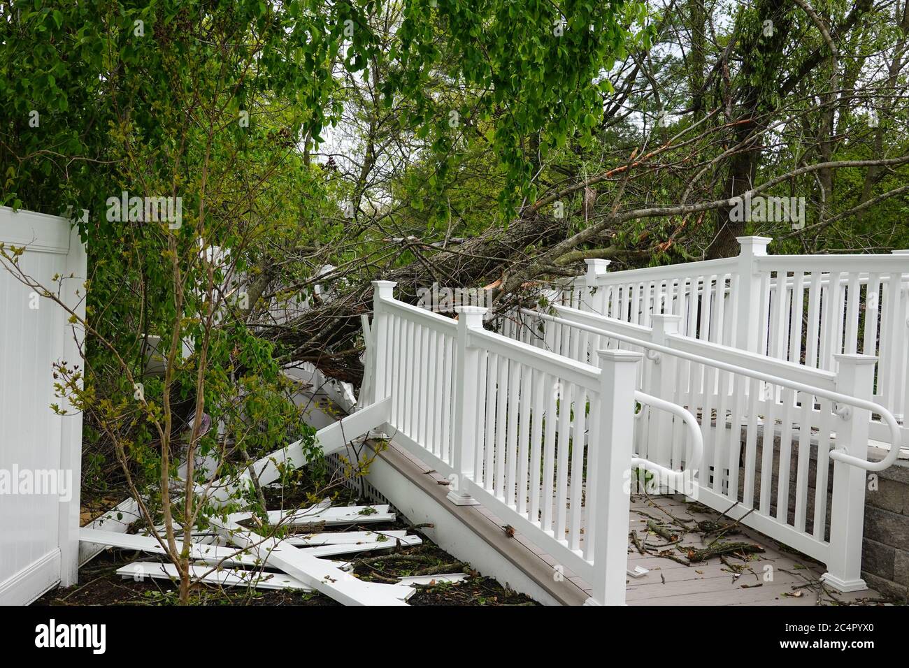 Tree Cut Metal Fence High Resolution Stock Photography and Images - Alamy