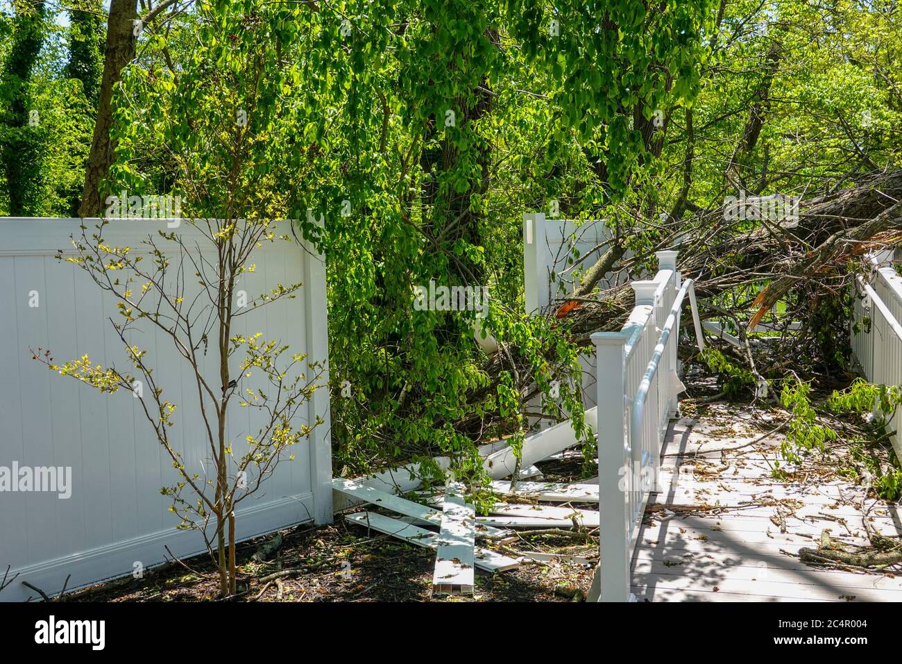 Tree Cut Metal Fence High Resolution Stock Photography and Images - Alamy