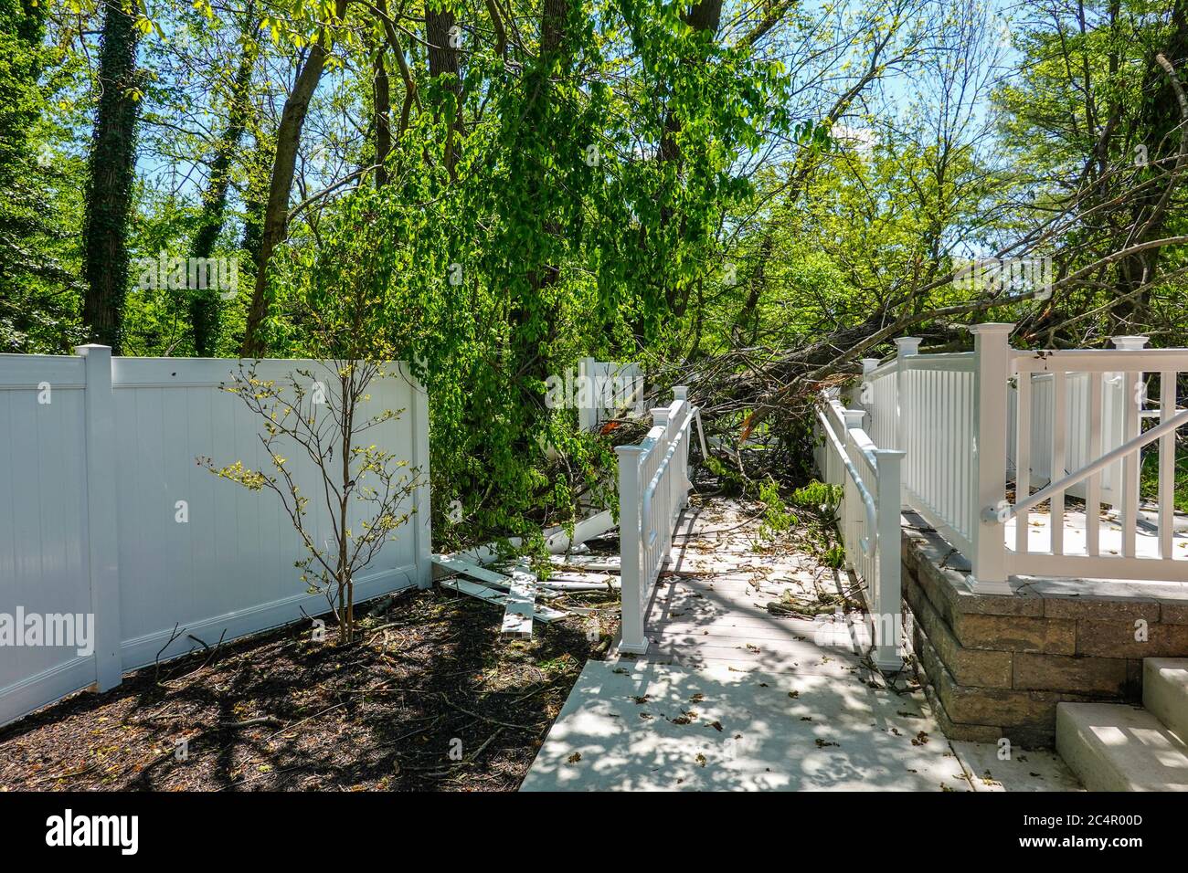 Tree Cut Metal Fence High Resolution Stock Photography and Images - Alamy