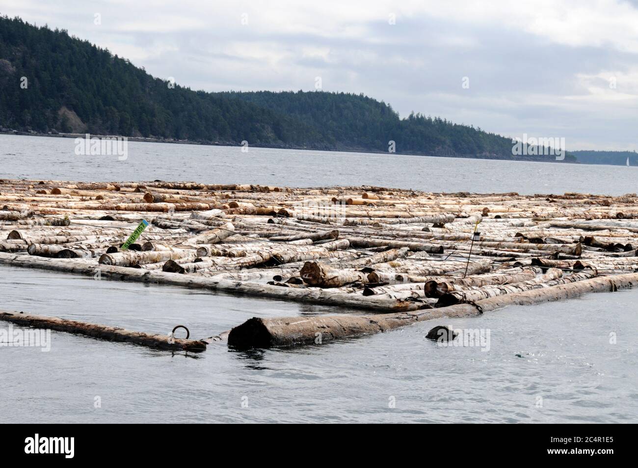 Logging industry canada logs hi-res stock photography and images - Alamy
