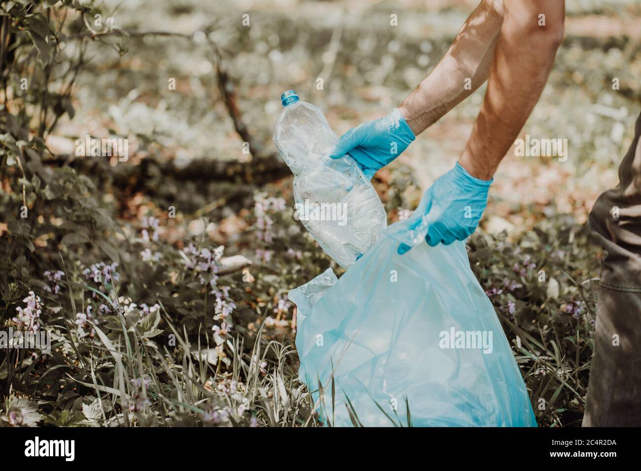 Safe the planet, man volunteer hand picking up garbage in forest for ...