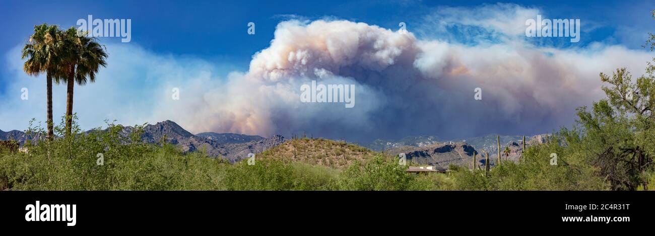 Hotshot forest fire hi-res stock photography and images - Alamy