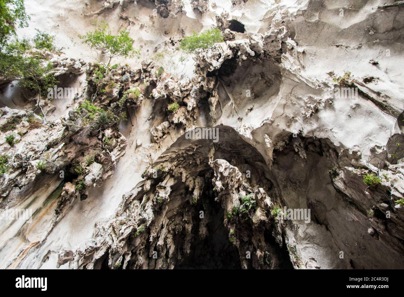 Stalactites Batu Caves limestone caves texture of wall or rocks Stock ...