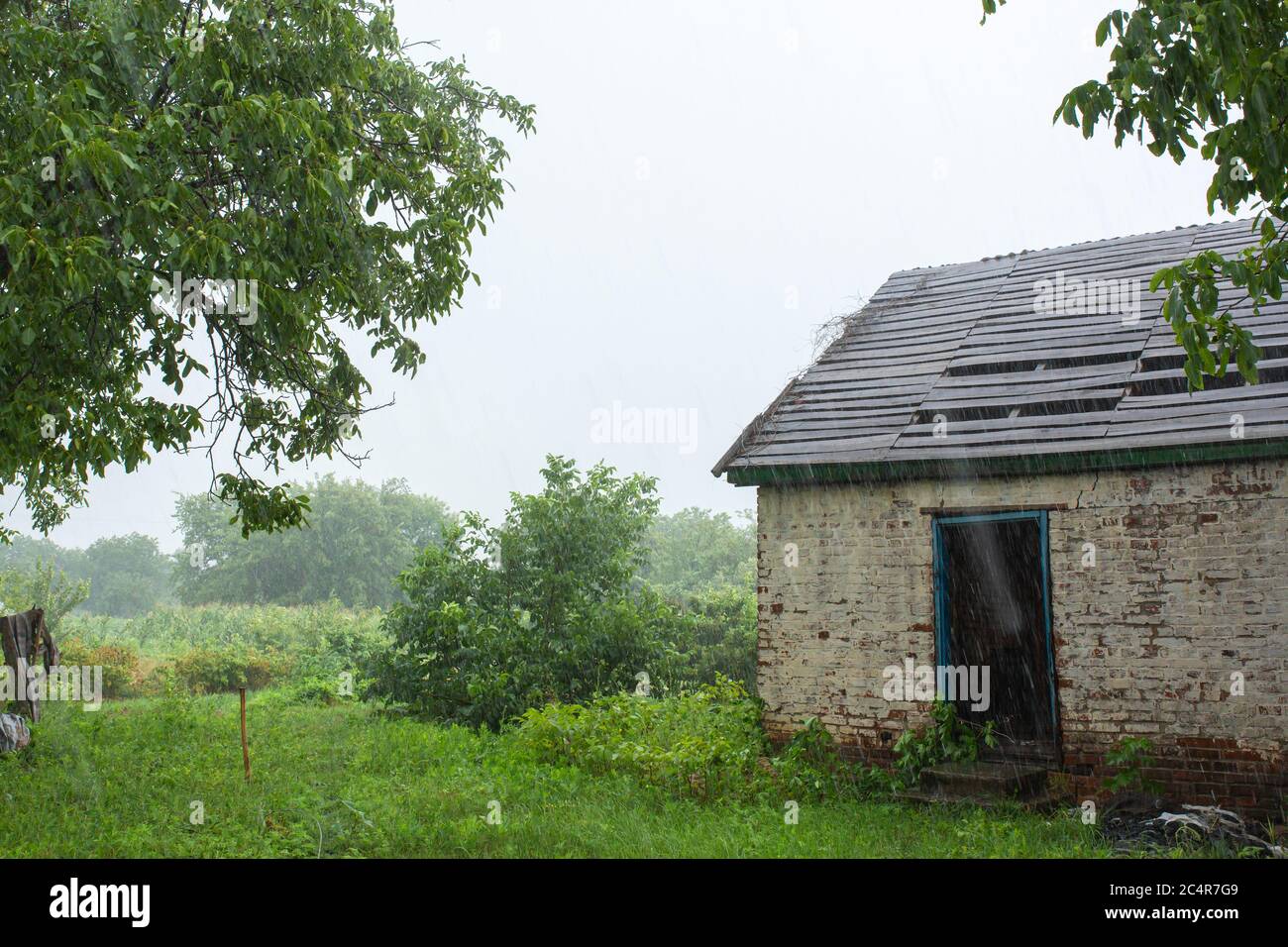 Heavy rain near an old abandoned house in a distant village. Green ...