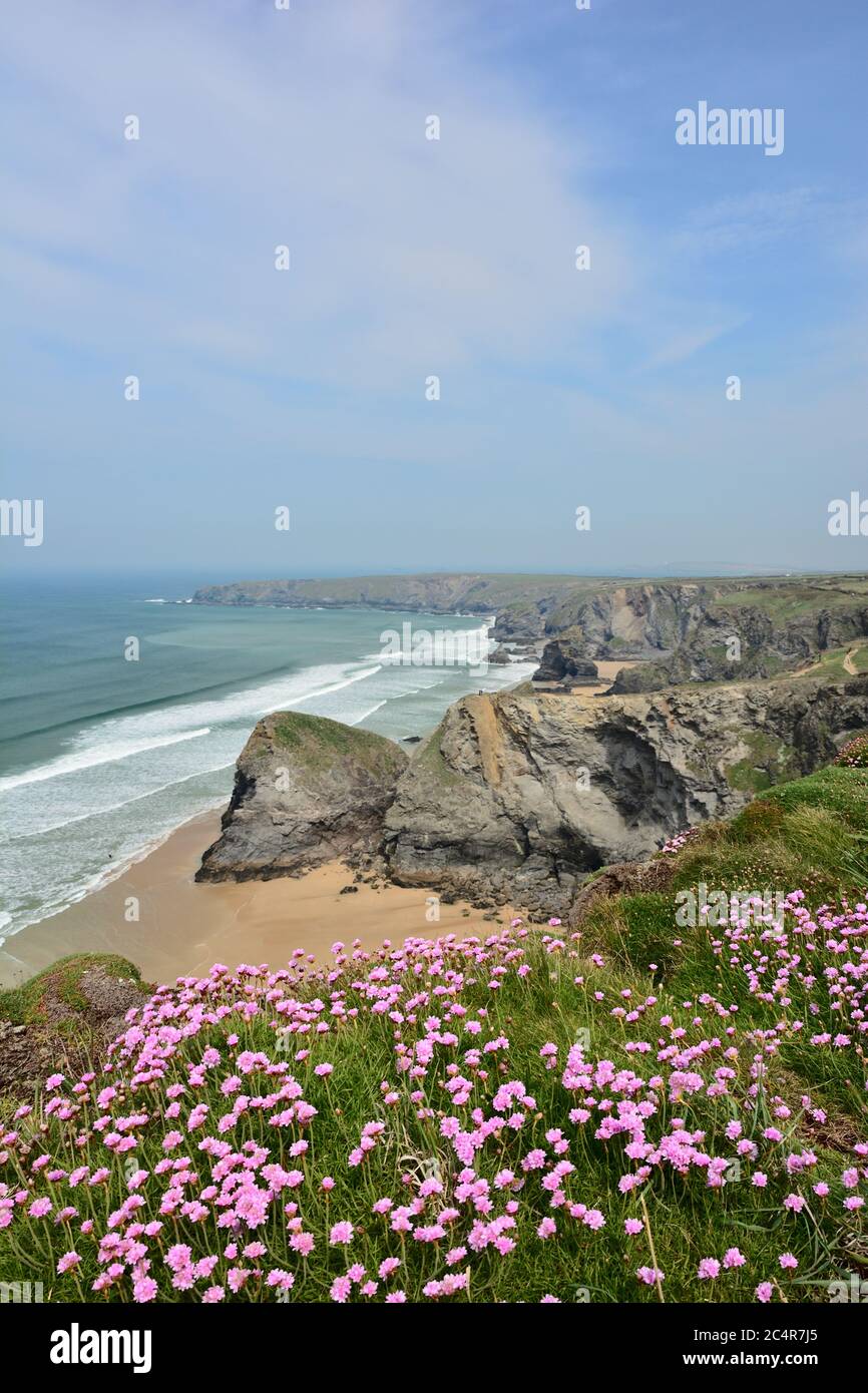 Bedruthan Steps clifftop view at low tide in Cornwall, UK Stock Photo ...