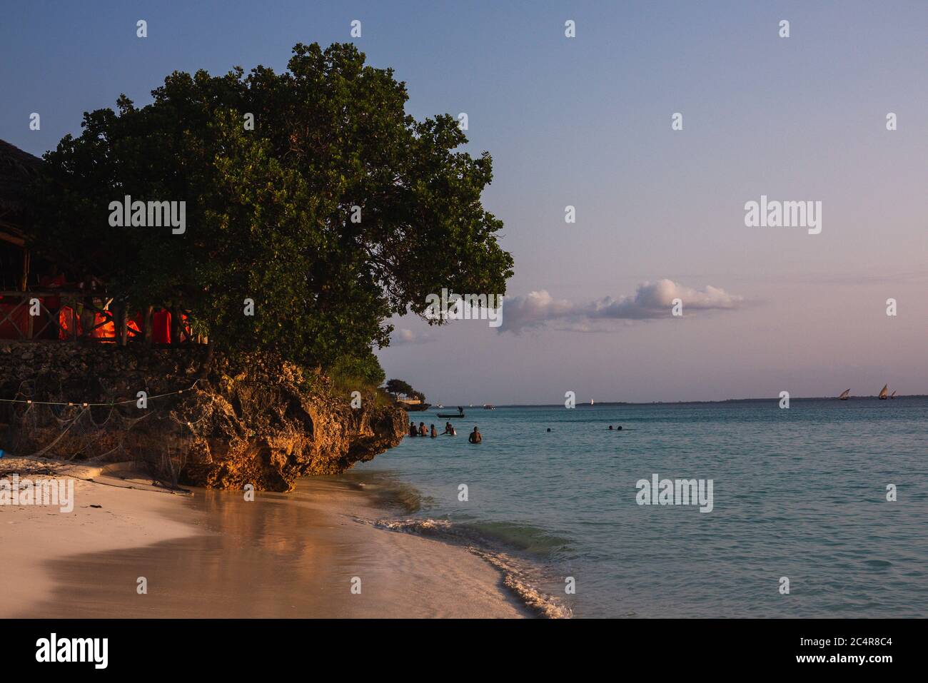 Zanzibar, tanzania sunset tree hi-res stock photography and images - Alamy