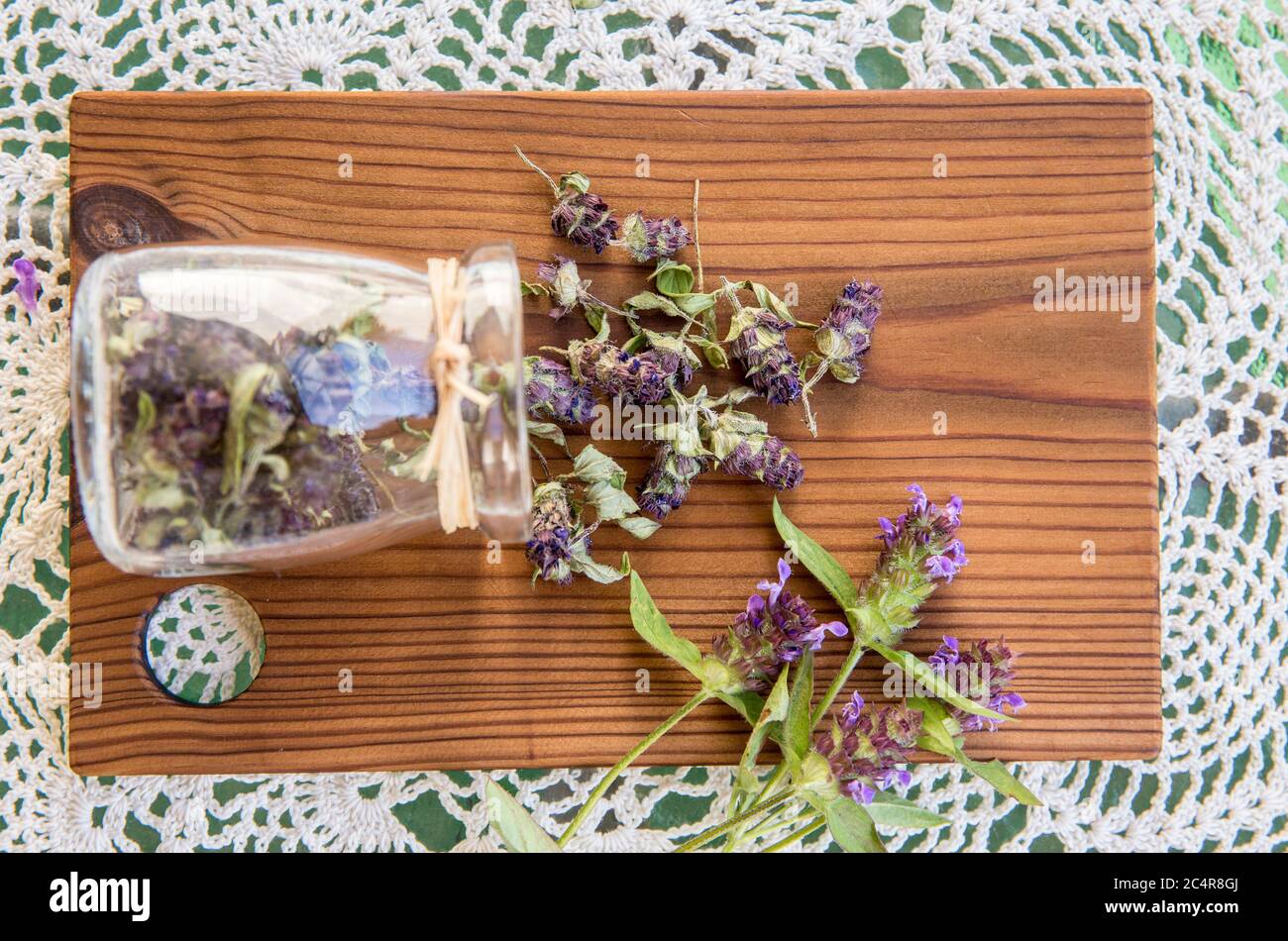 Composition of Prunella vulgaris (known as common self-heal, heal-all ...