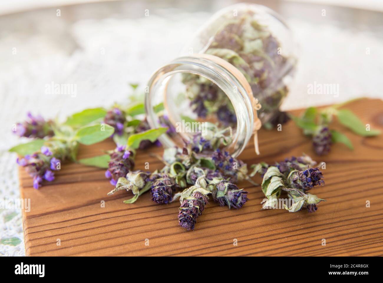 Composition of Prunella vulgaris (known as common self-heal, heal-all ...