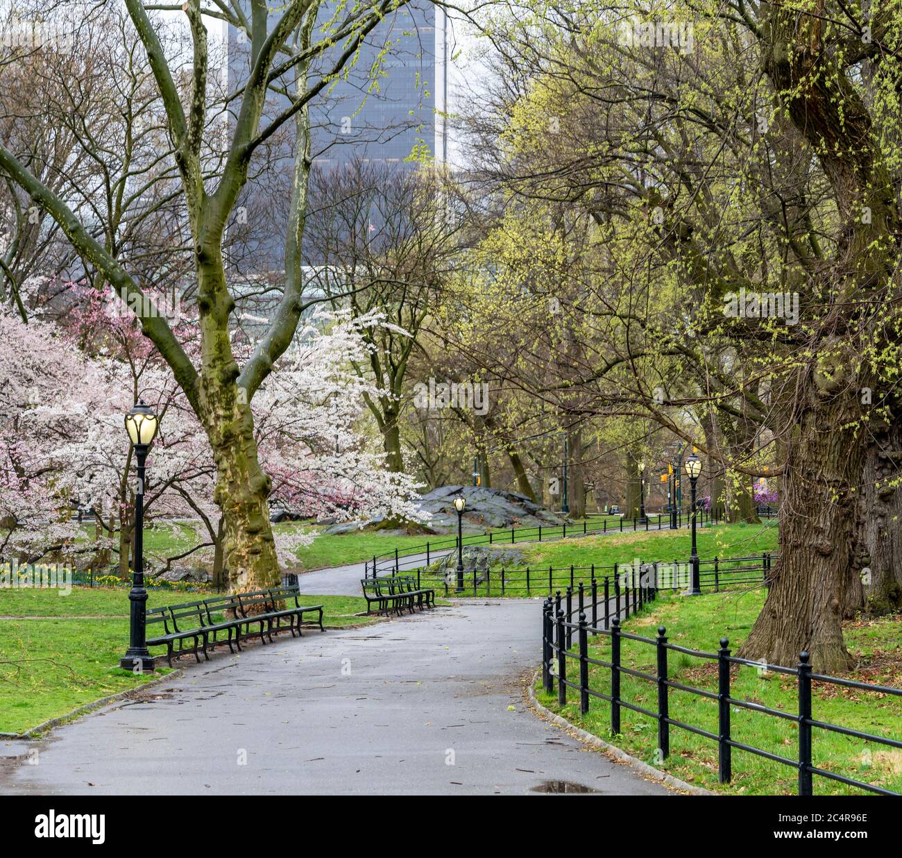 Spring in Central Park, New York City Stock Photo - Alamy