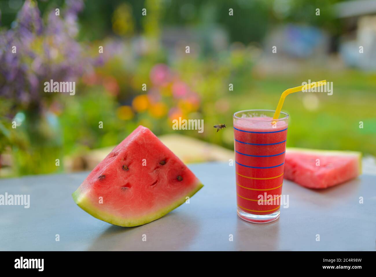 Bee tastes watermelon fresh juice Stock Photo - Alamy