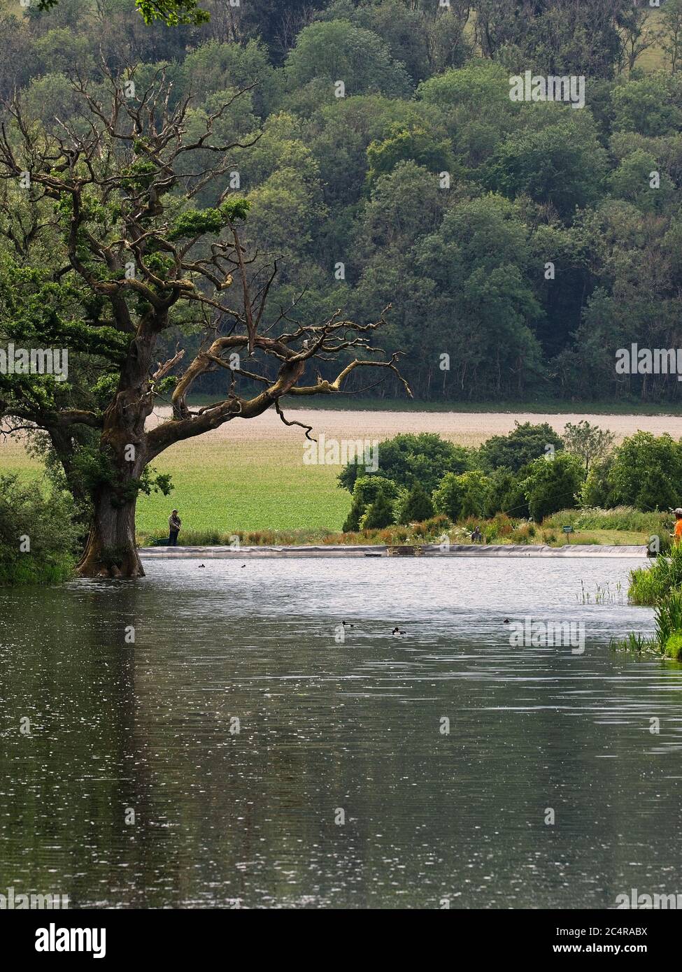 Fishing ponds hi-res stock photography and images - Alamy