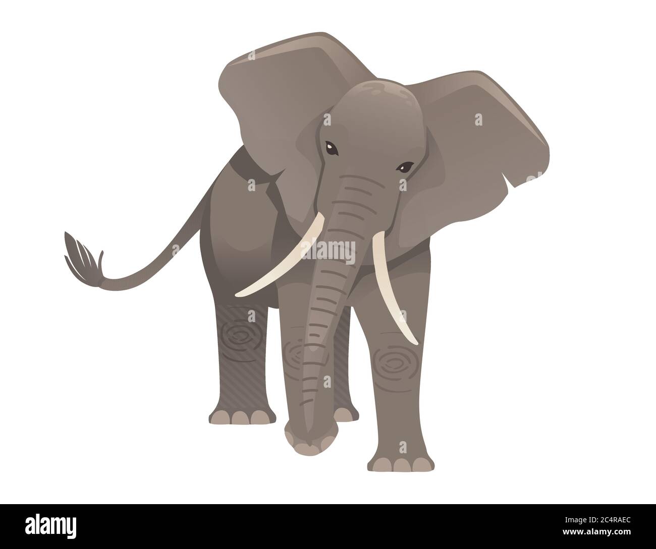 Cute adult elephant stand on ground and look at you cartoon animal ...