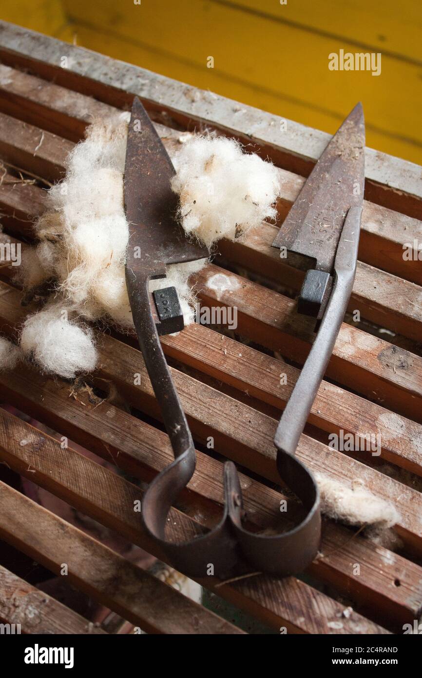 An old pair of wool shears in a shearing shed Stock Photo - Alamy