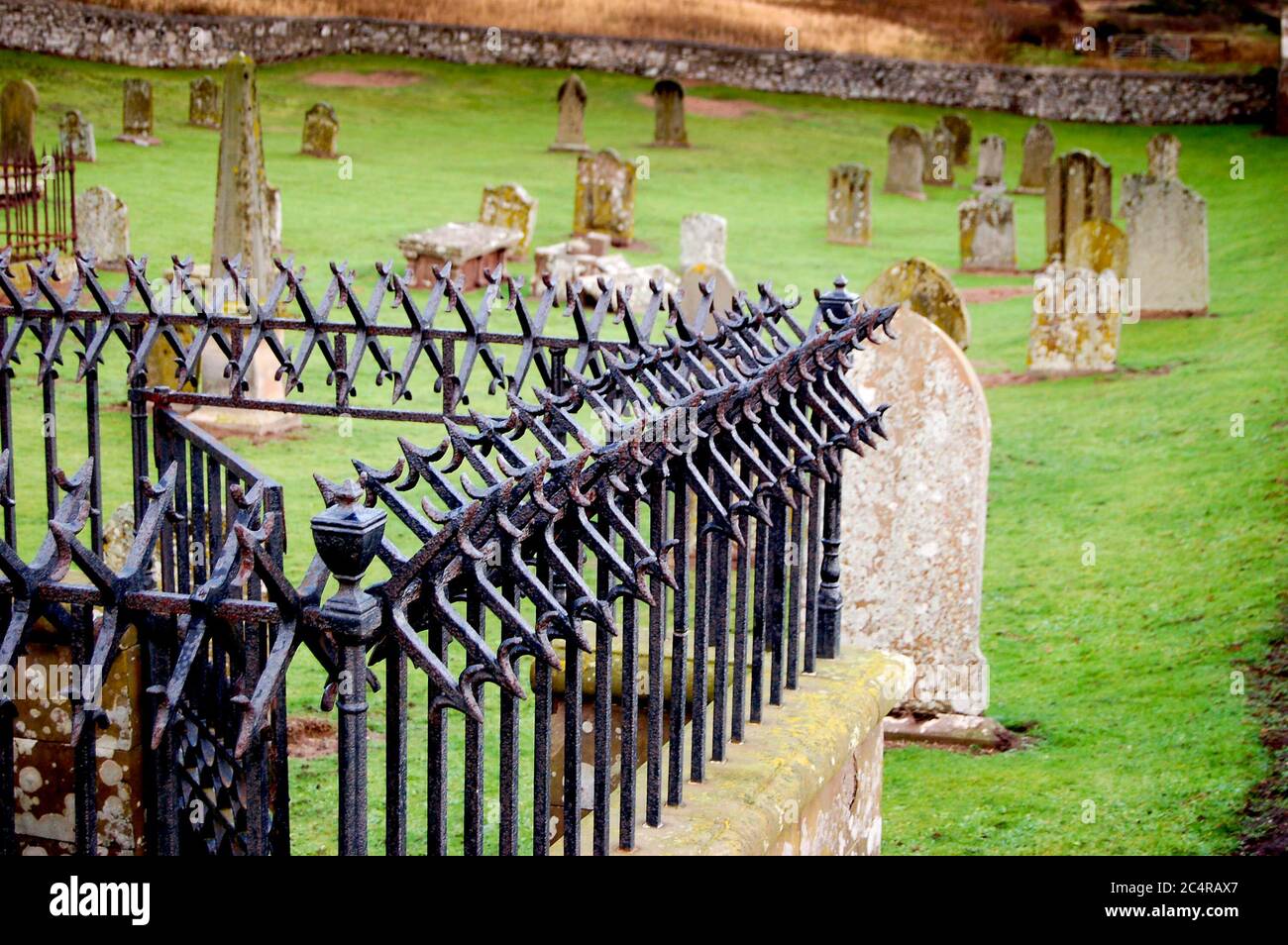 Nature Reserve, St Cyrus, Scotland Stock Photo - Alamy