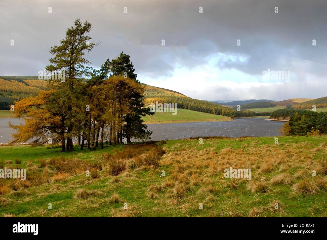 Lintrathen loch hi-res stock photography and images - Alamy