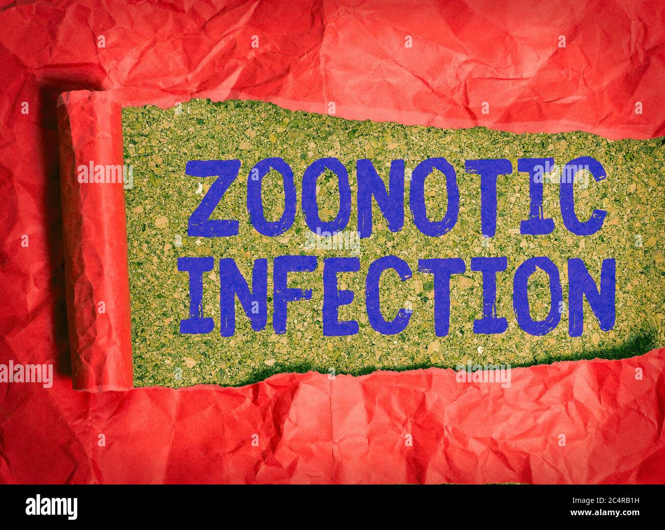 Conceptual hand writing showing Zoonotic Infection. Concept meaning ...