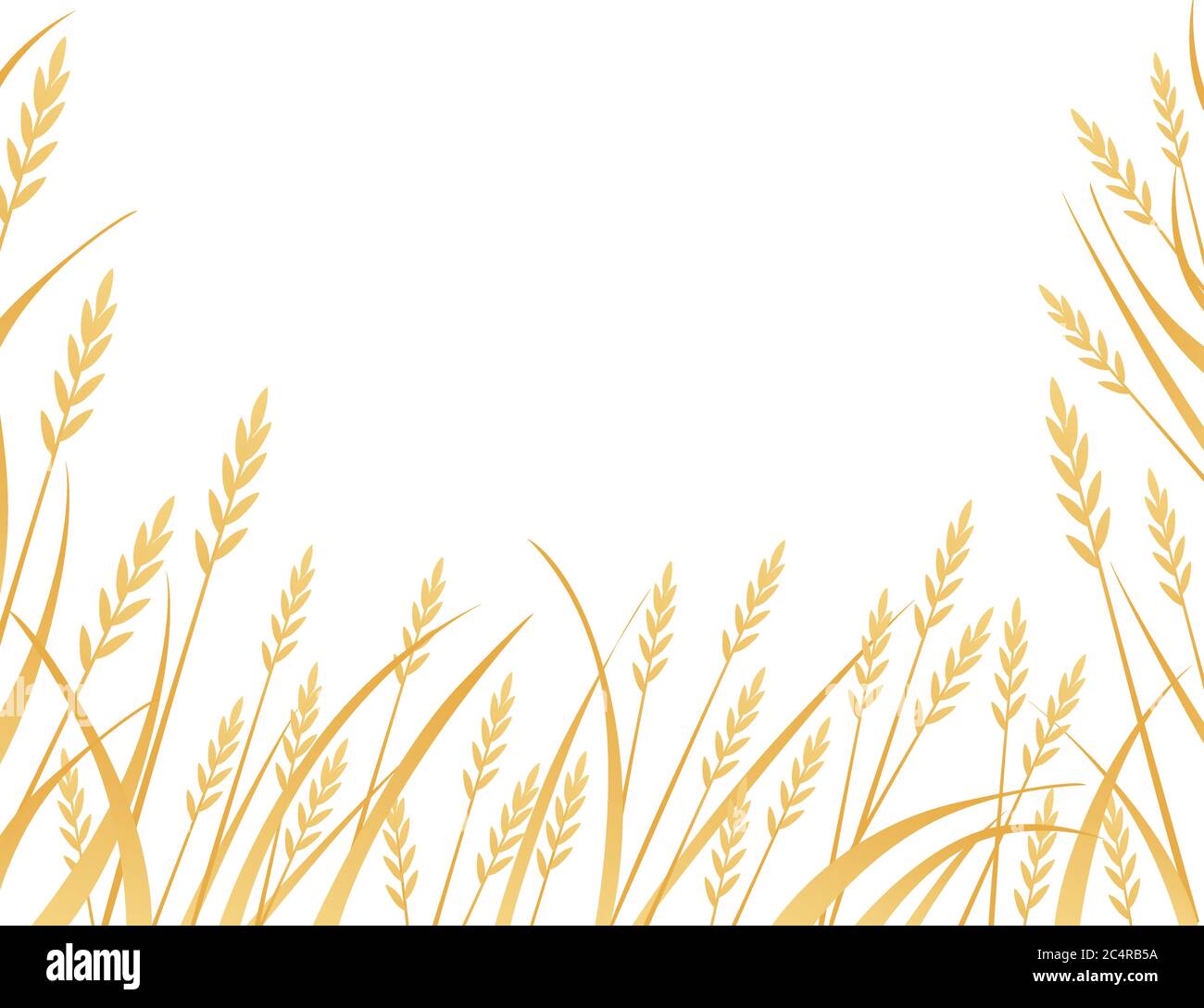 Yellow african savanna grass flat vector illustration on white ...