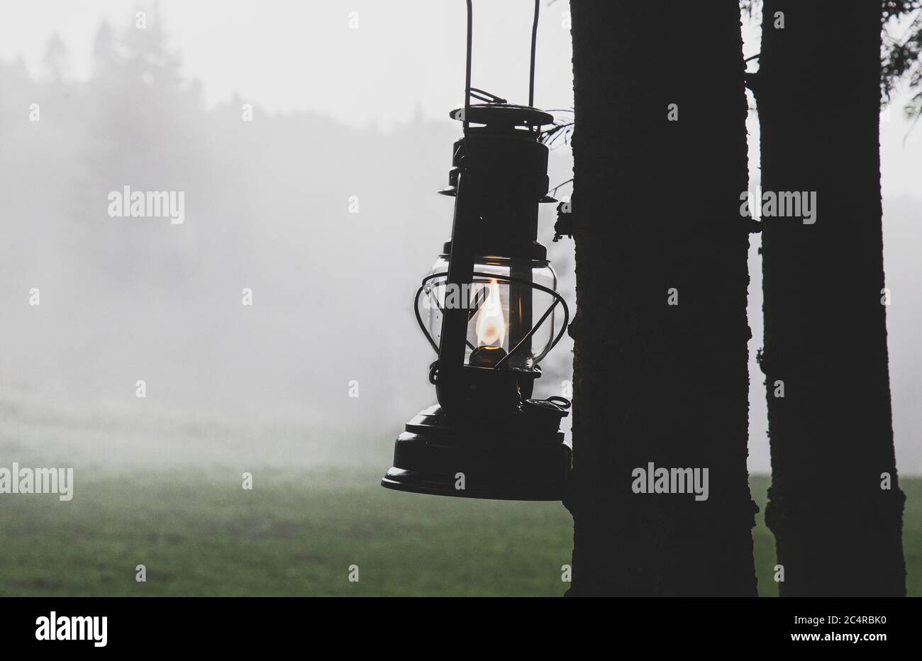 Lantern view from a foggy and gloomy day in a forest Stock Photo - Alamy