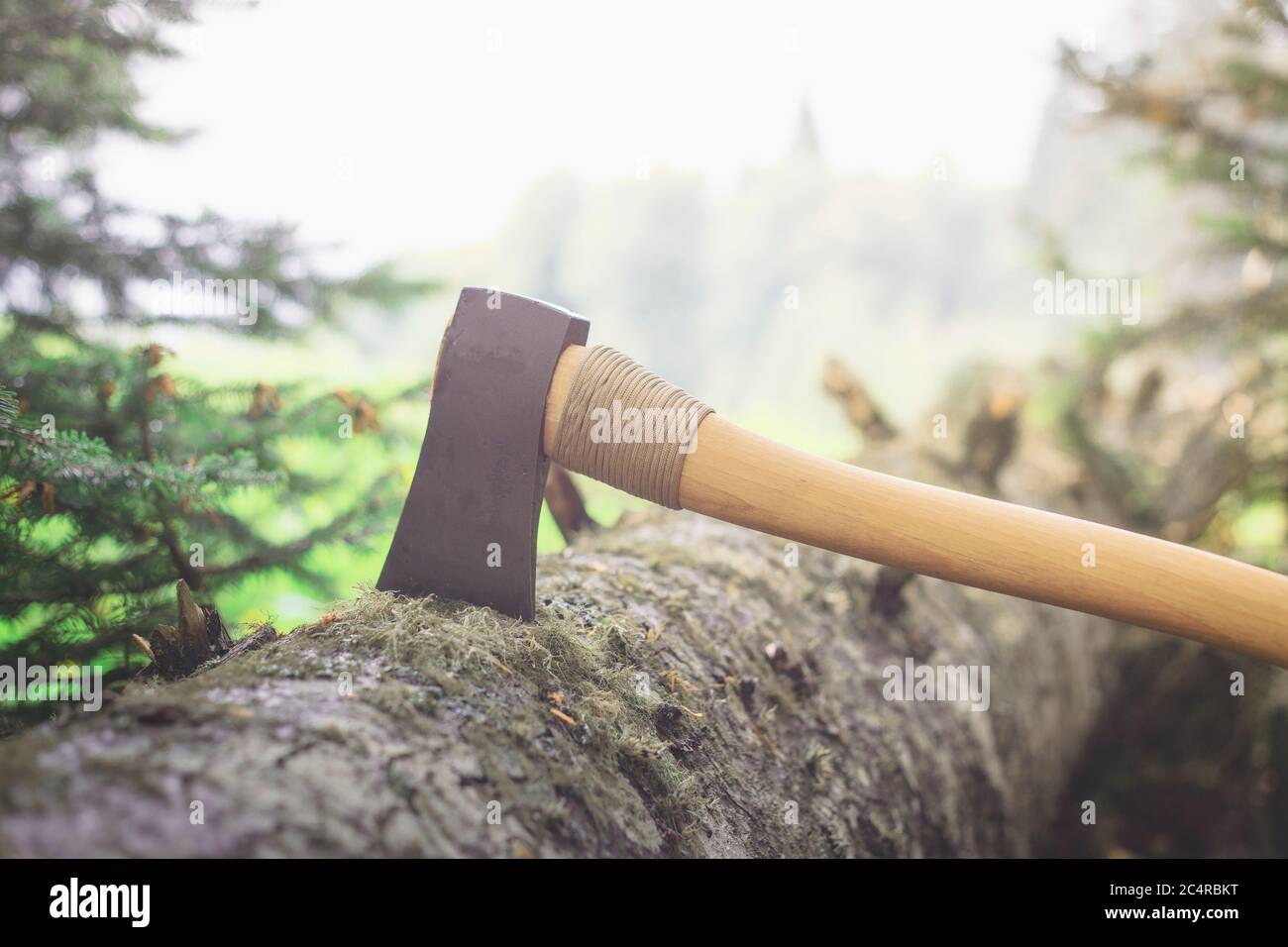 Close up detail camping axe view Stock Photo - Alamy