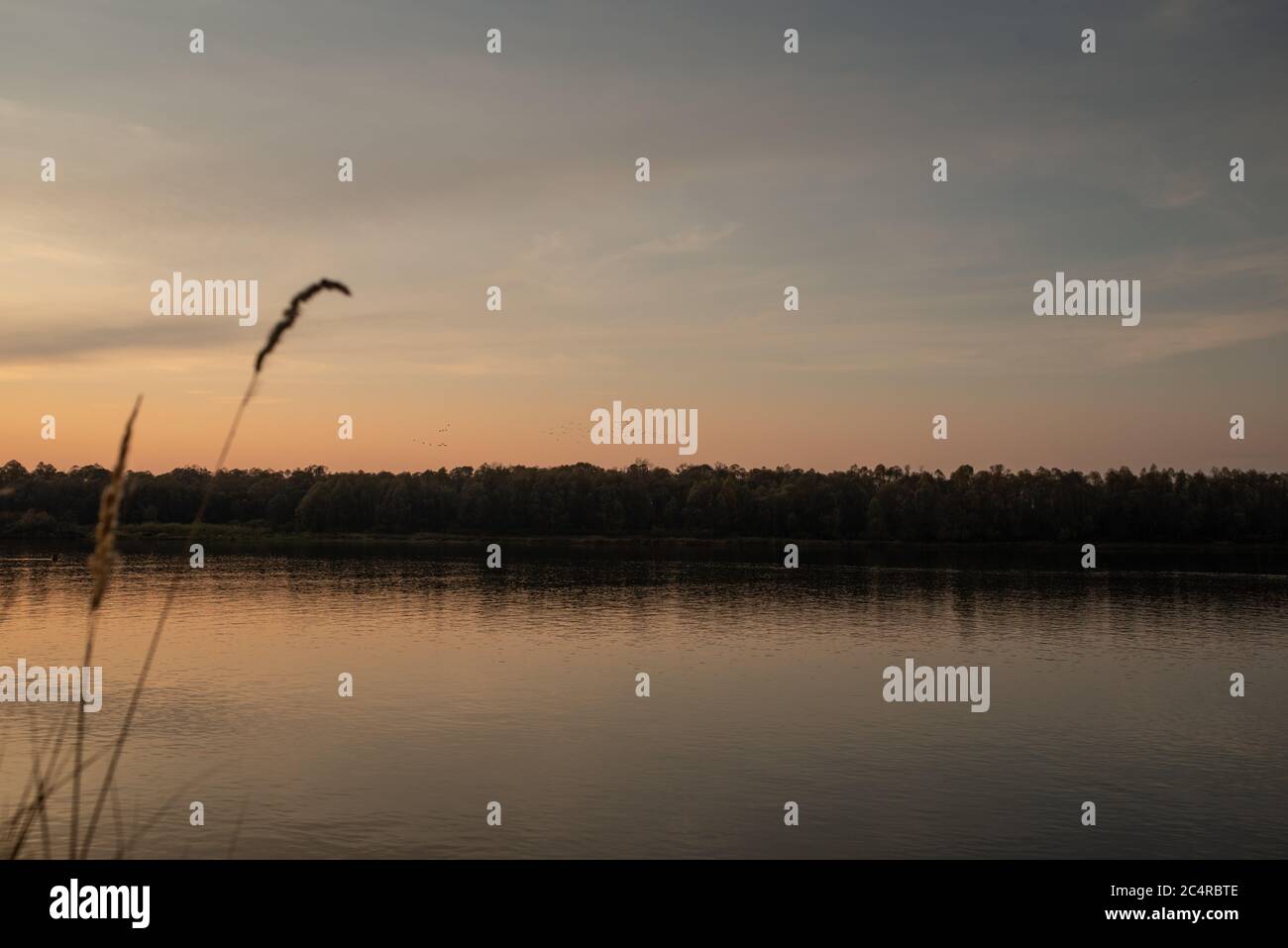 Sunset summer river side hi-res stock photography and images - Alamy