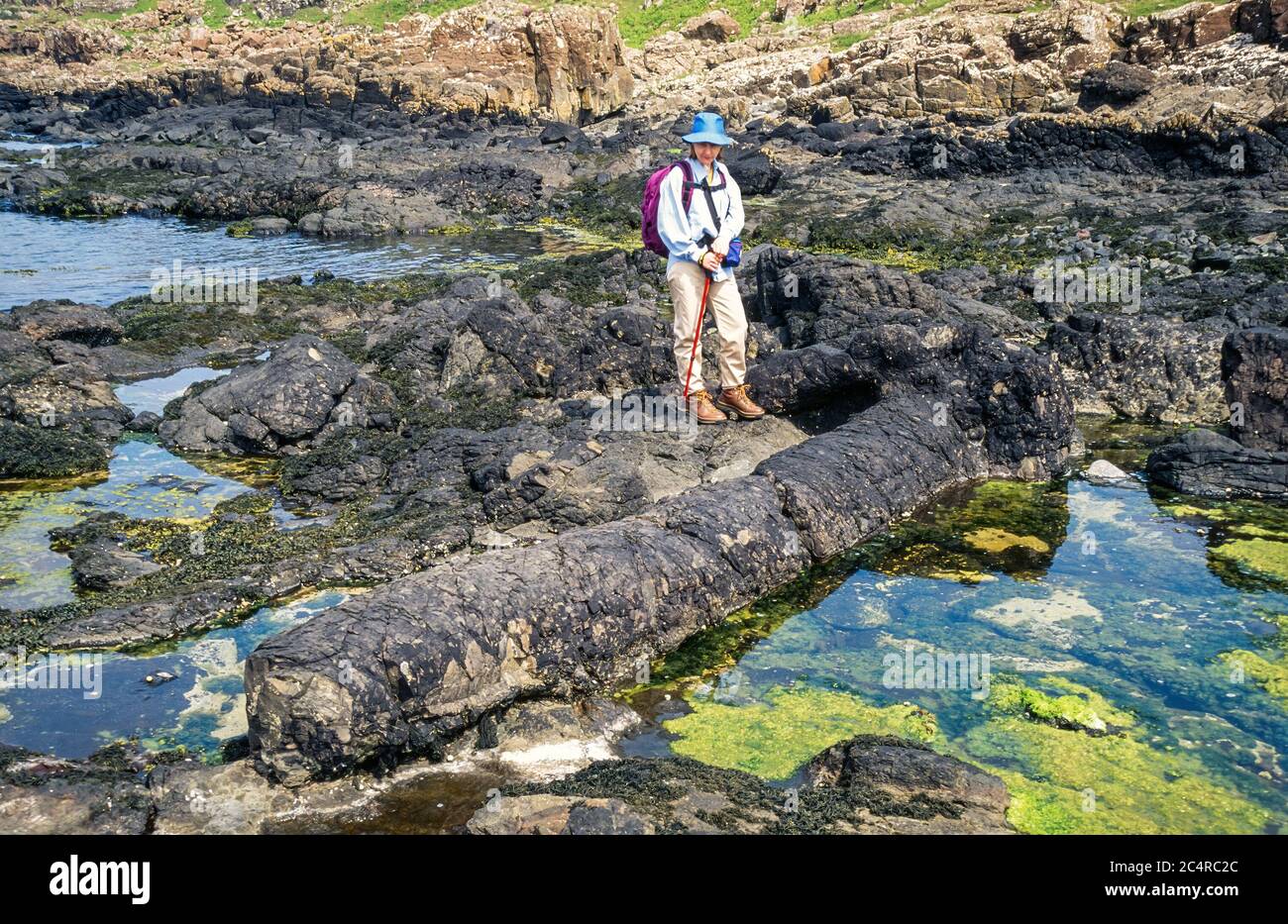 Tourist by fossilised remains of a tree felled by a lava flow ...