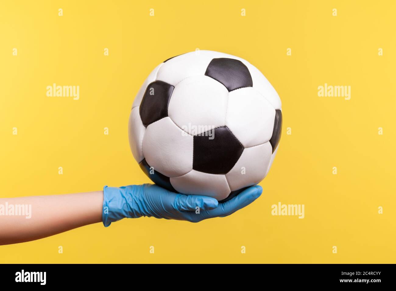 Profile side view closeup of human hand in blue surgical gloves holding ...