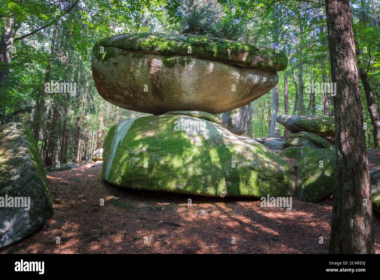 Wobble Stone in a Forest in Lower Bavaria Stock Photo - Alamy